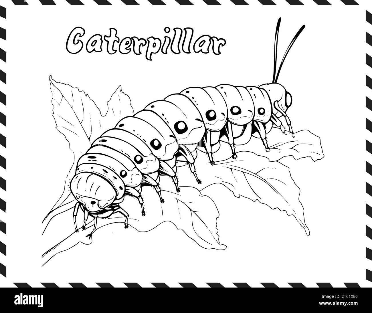 Cucumber coloring page drawing for kids hi-res stock photography and ...