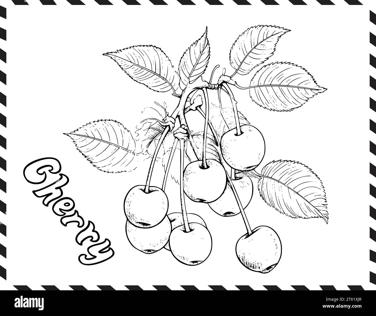 Cherry Coloring Page For Kids Stock Vector Image & Art - Alamy