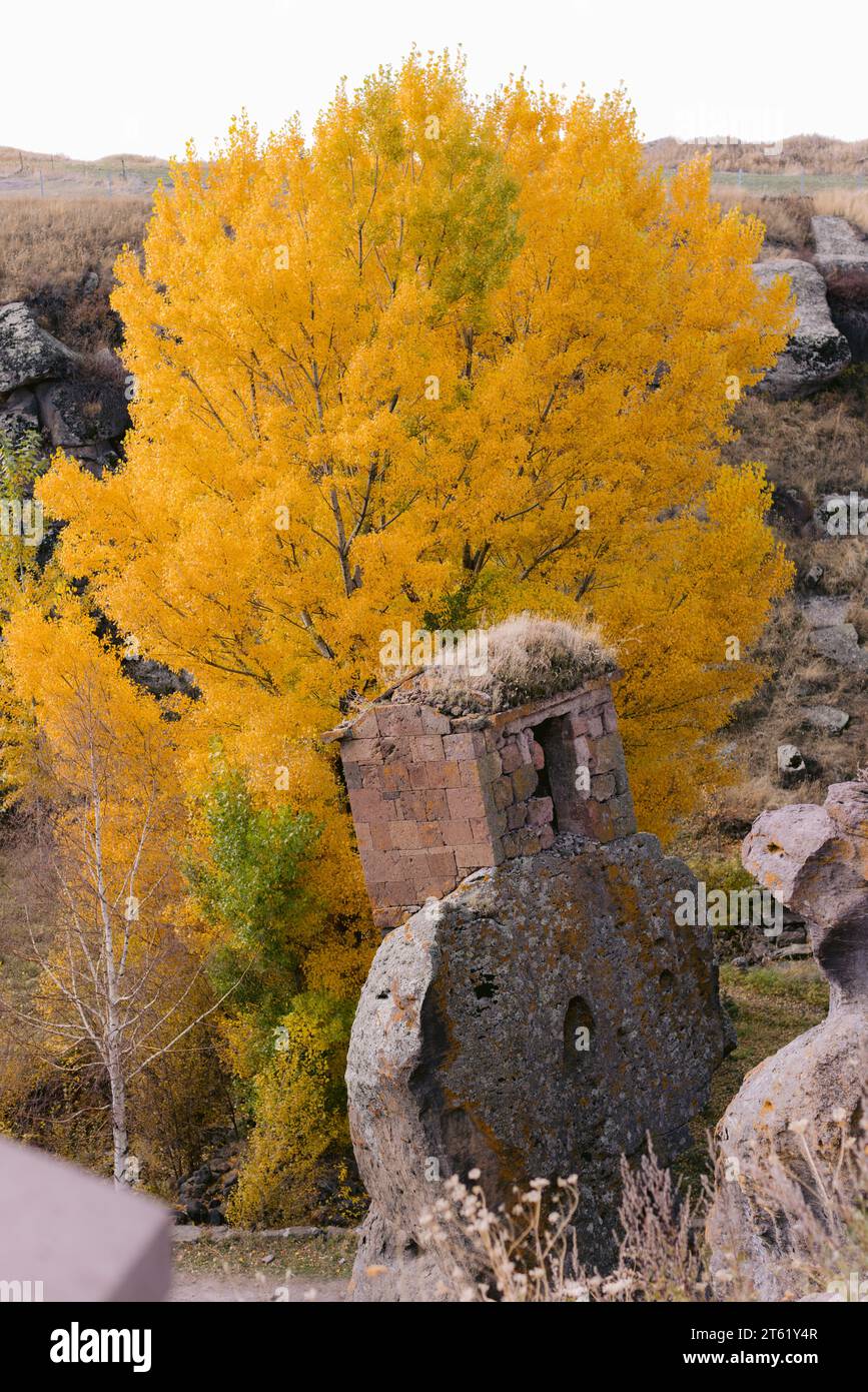 A scenic view of a yellow tree near the church ruins in Armenia Stock ...