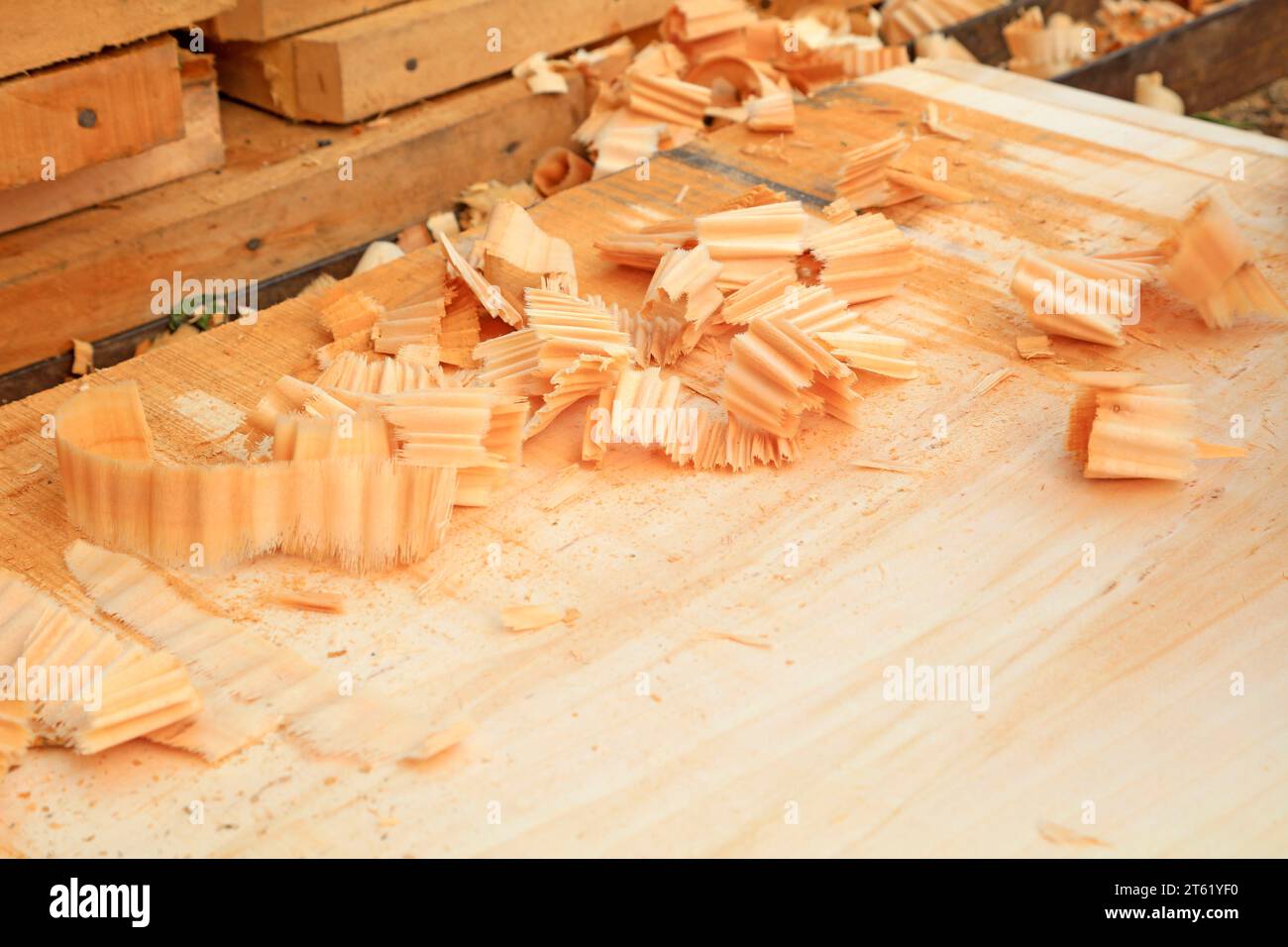 Wood accumulation hi-res stock photography and images - Alamy