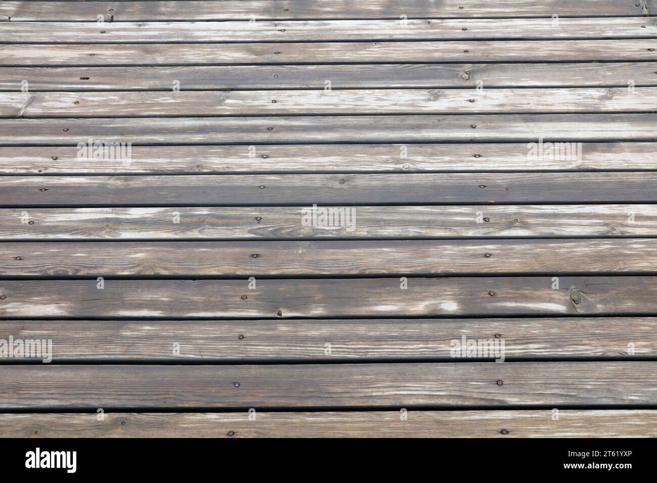 wet wood texture Stock Photo - Alamy