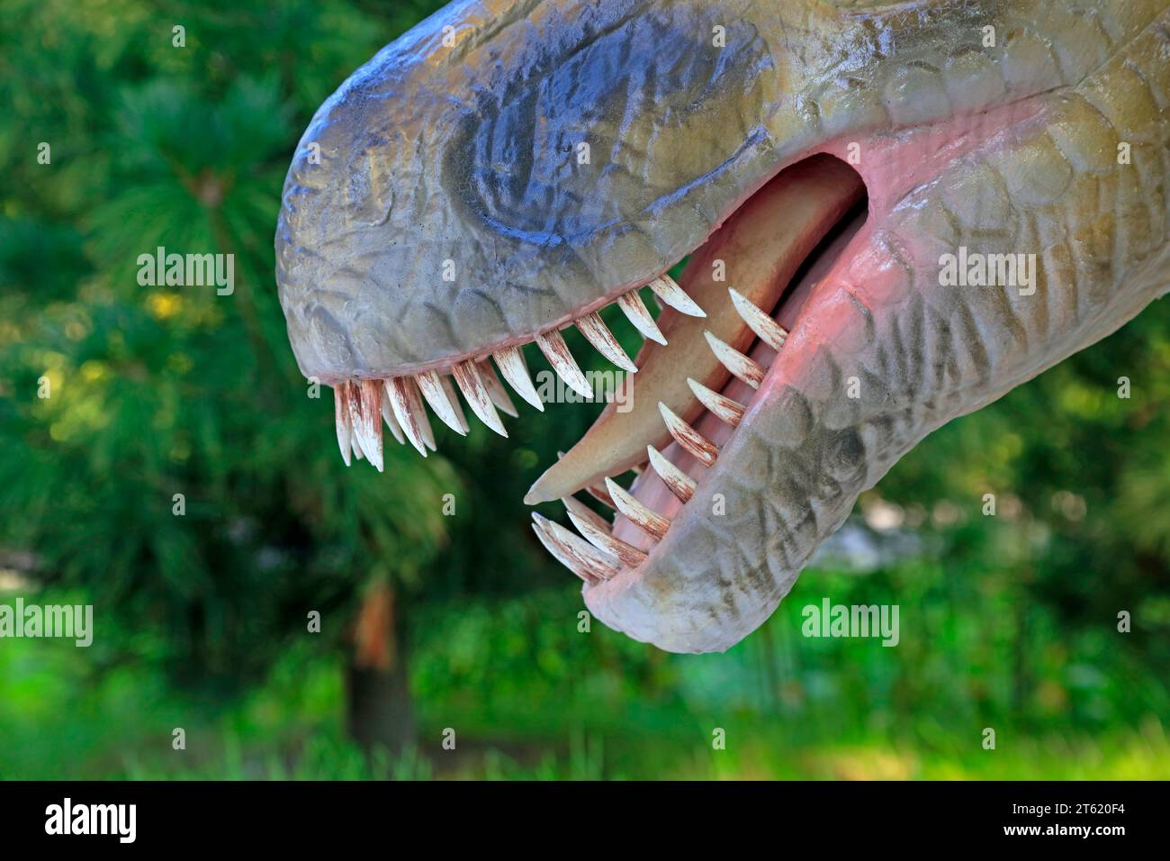 dinosaur head sculpture Stock Photo - Alamy