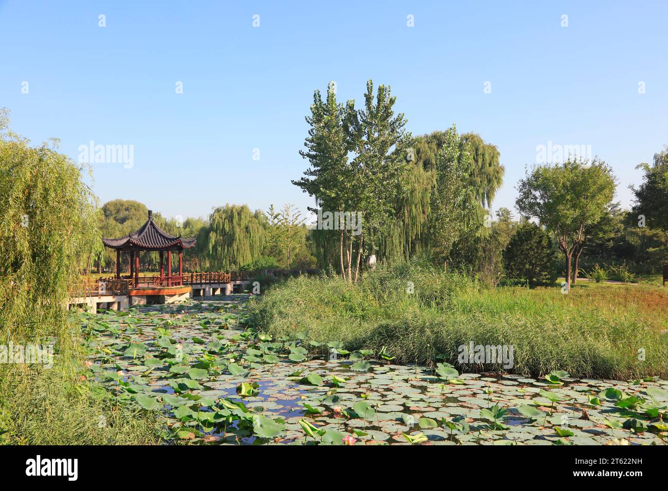 Chinese architectural style pavilion Stock Photo - Alamy