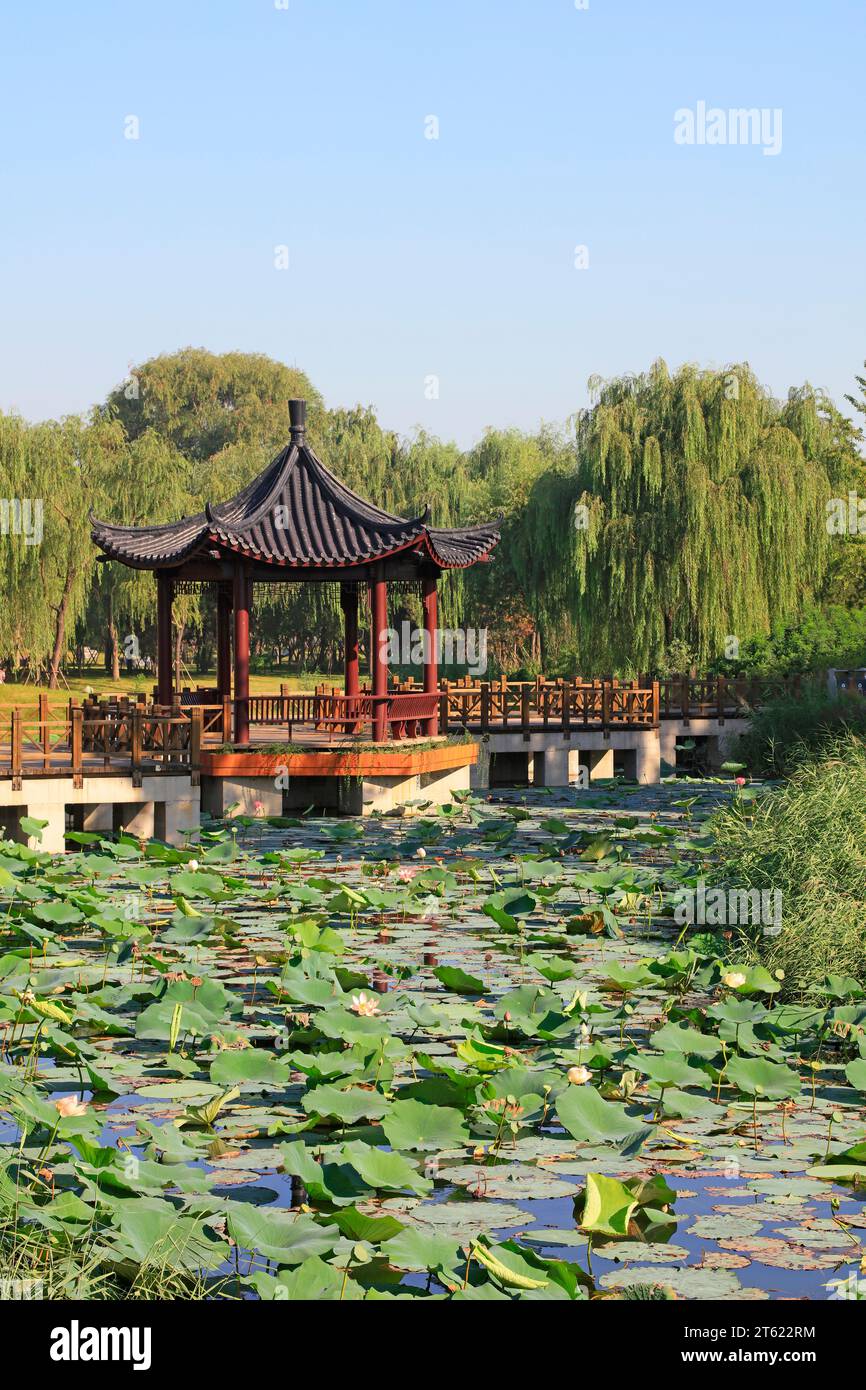 Chinese architectural style pavilion Stock Photo - Alamy