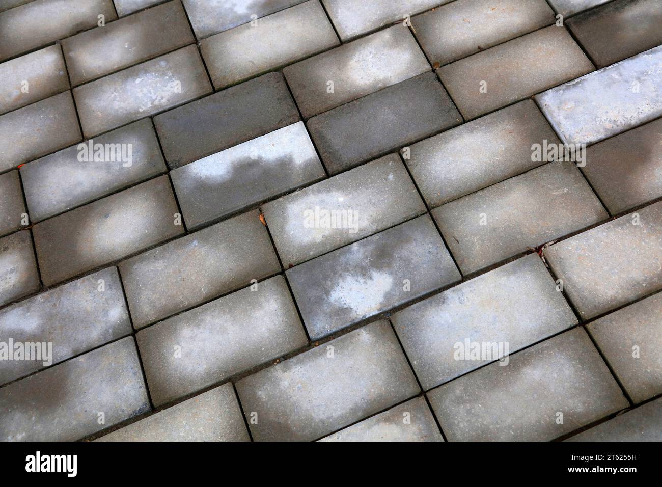 wet cement floor tile Stock Photo - Alamy
