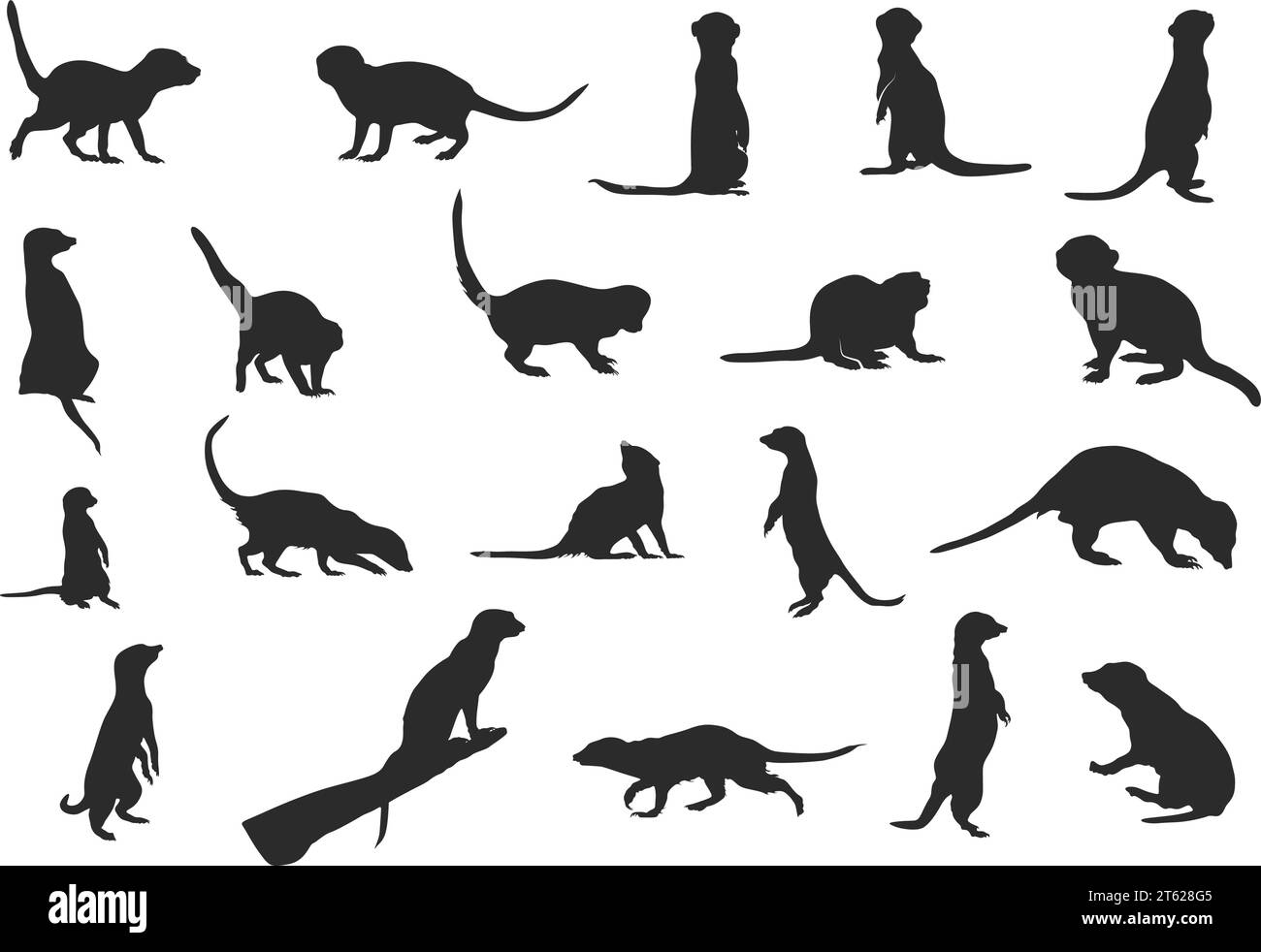 Meerkat silhouettes, Meerkat silhouettes set, Meerkat svg, Meerkat clip ...