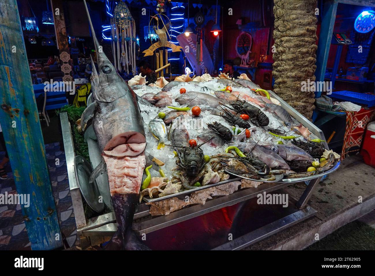 Fischrestaurant The Shark, Masbat, Lighthouse Road, Dahab, Sinai ...