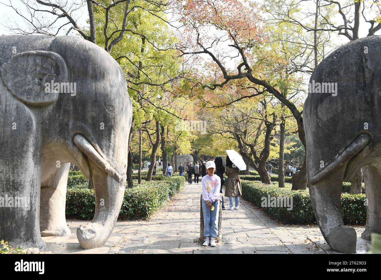 Aerial photo shows the autumn scenery of Zhongshan Mountain National ...