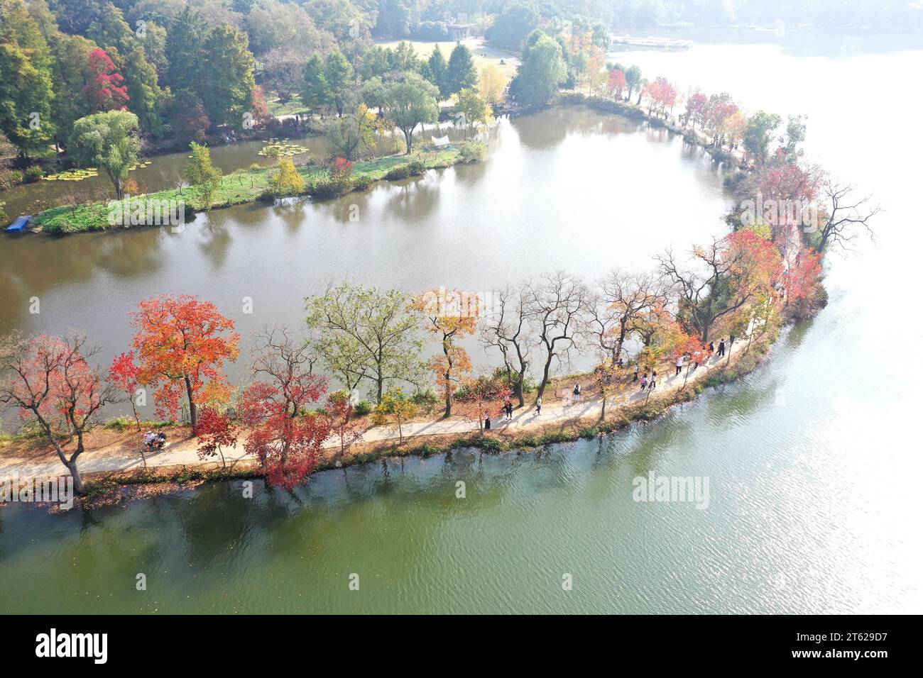 Aerial photo shows the autumn scenery of Zhongshan Mountain National ...