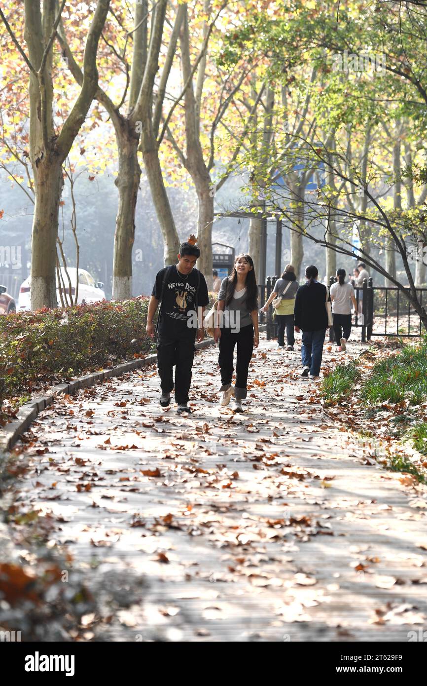 Aerial photo shows the autumn scenery of Zhongshan Mountain National ...