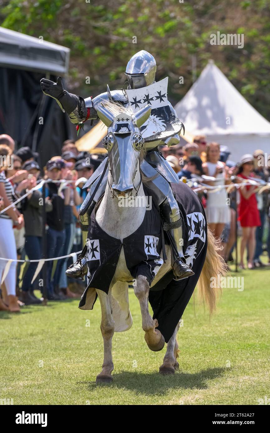 Knight jousting. Medieval knights during a jousting tournament. Knights competition Stock Photo ...