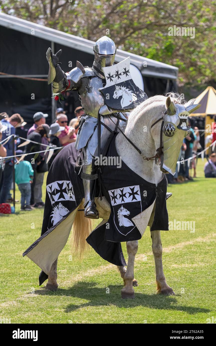 Knight jousting. Medieval knights during a jousting tournament. Knights ...