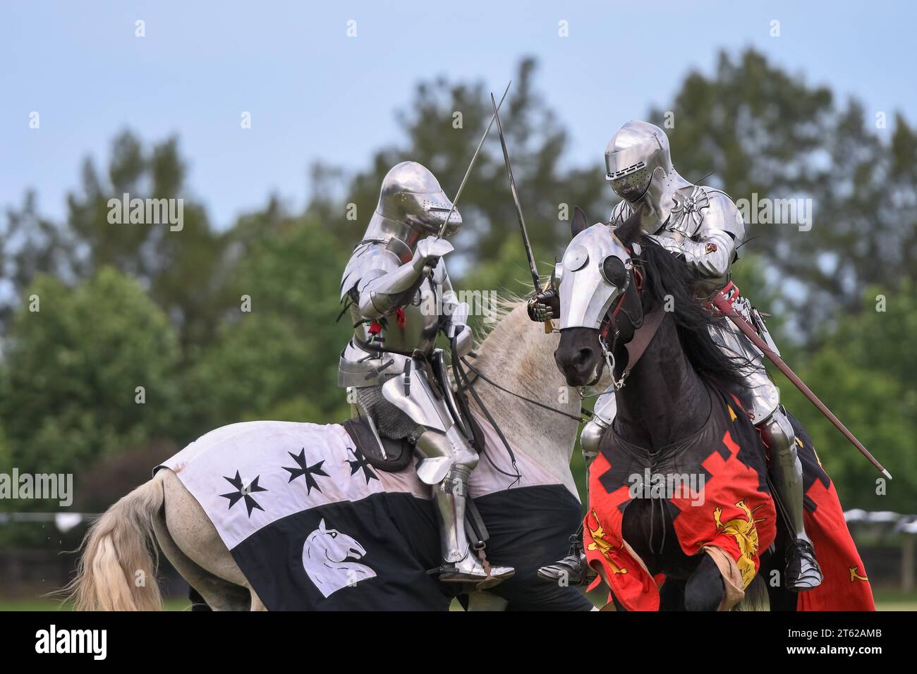Knight jousting. Medieval knights during a jousting tournament. Knights competition Stock Photo ...