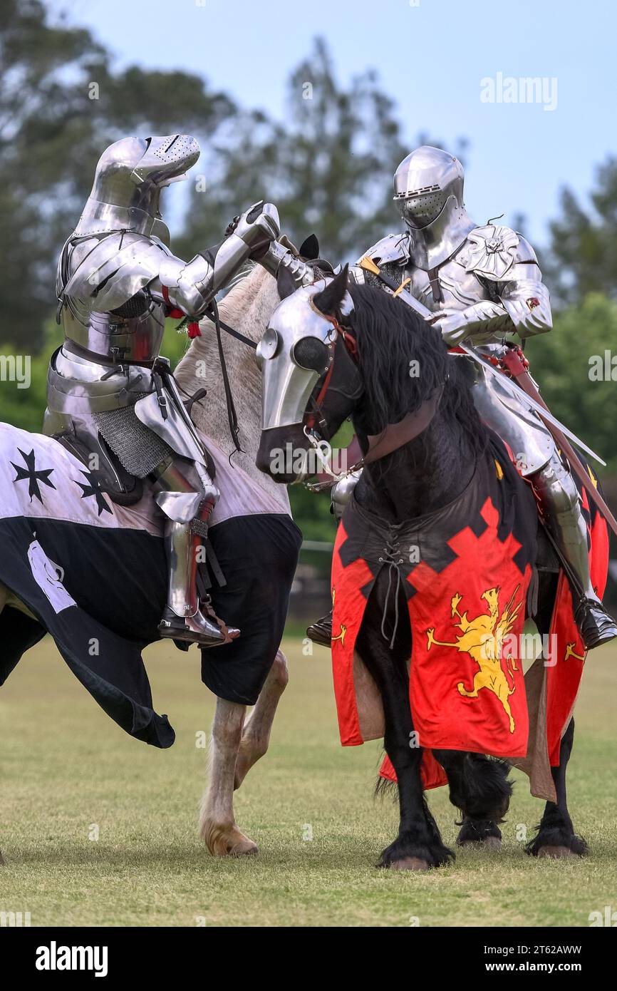 Knight jousting. Medieval knights during a jousting tournament. Knights competition Stock Photo ...