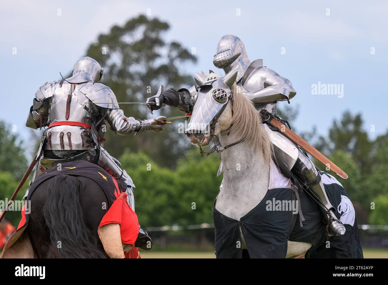 Knight jousting. Medieval knights during a jousting tournament. Knights competition Stock Photo ...
