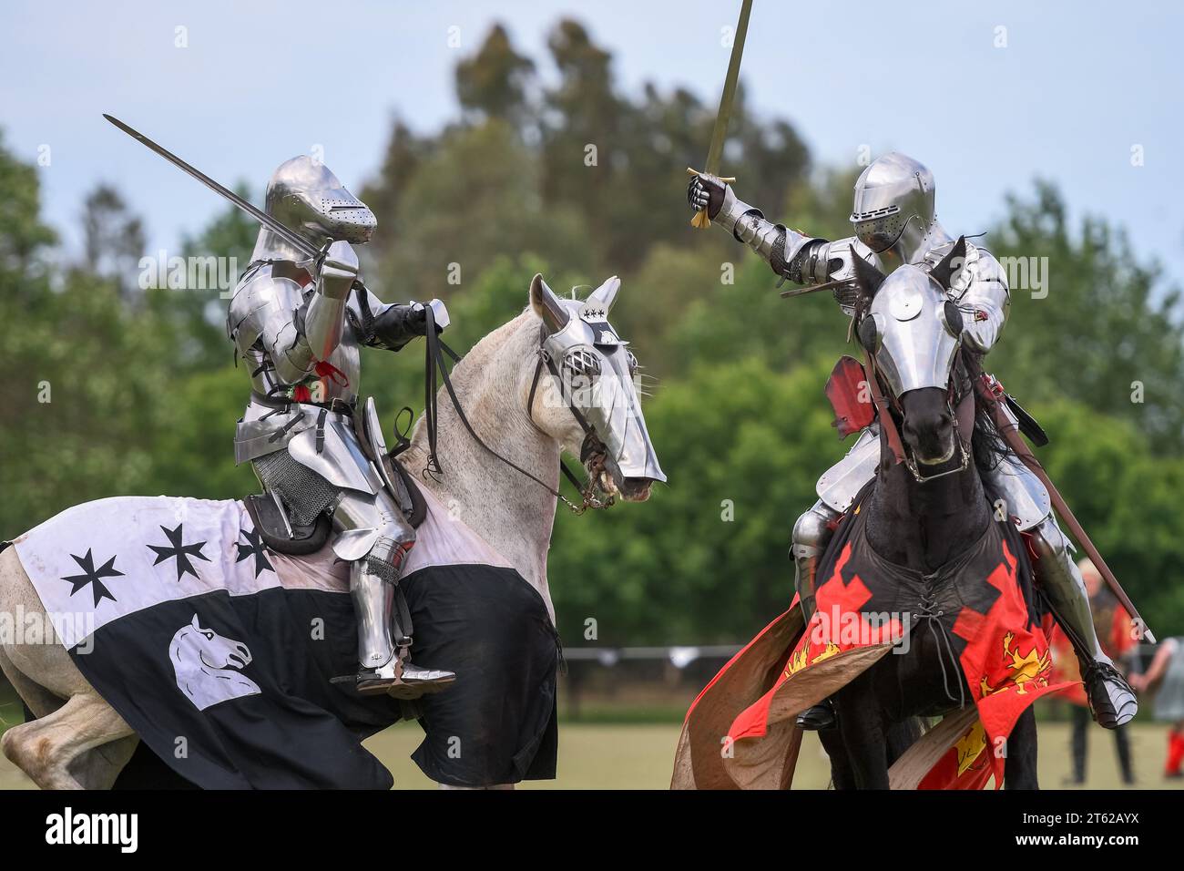 Knight jousting. Medieval knights during a jousting tournament. Knights competition Stock Photo ...