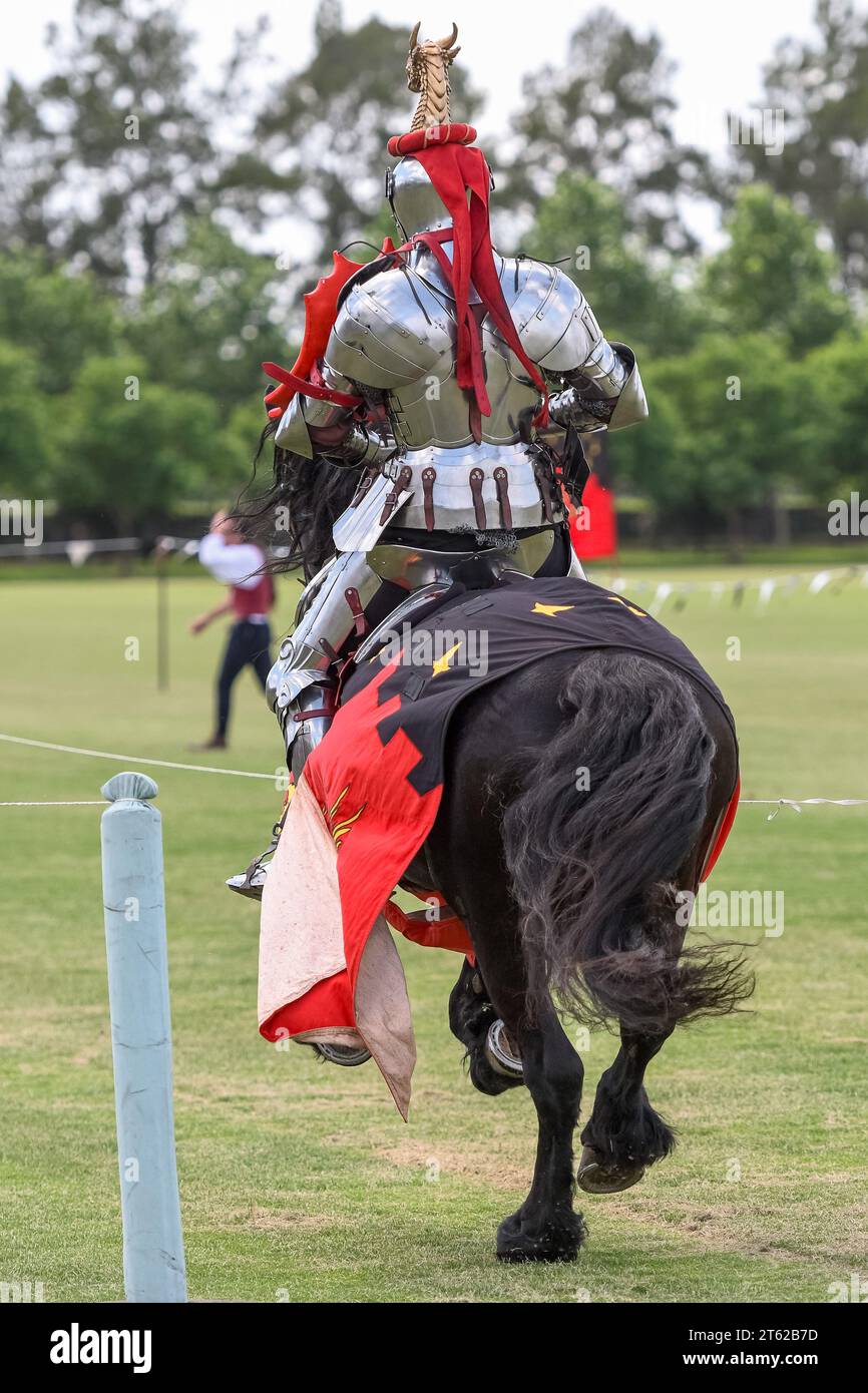 Knight jousting. Medieval knights during a jousting tournament. Knights competition Stock Photo ...