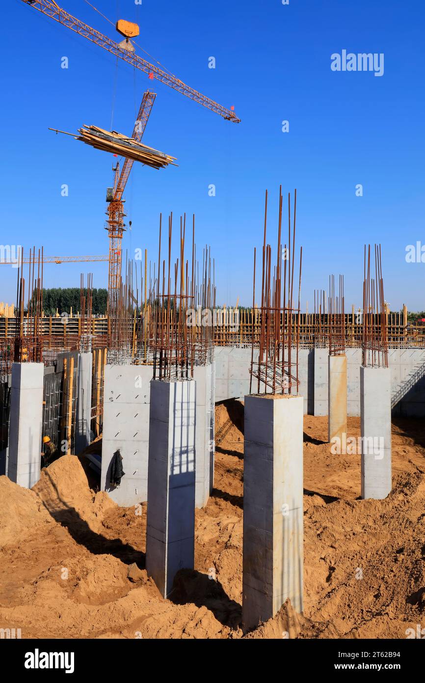 Concrete columns in the construction site Stock Photo - Alamy