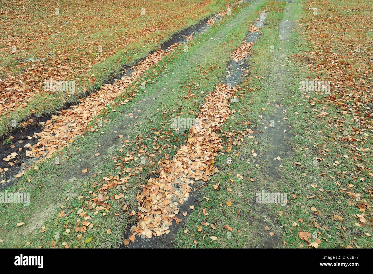 road marks in the grass Stock Photo - Alamy