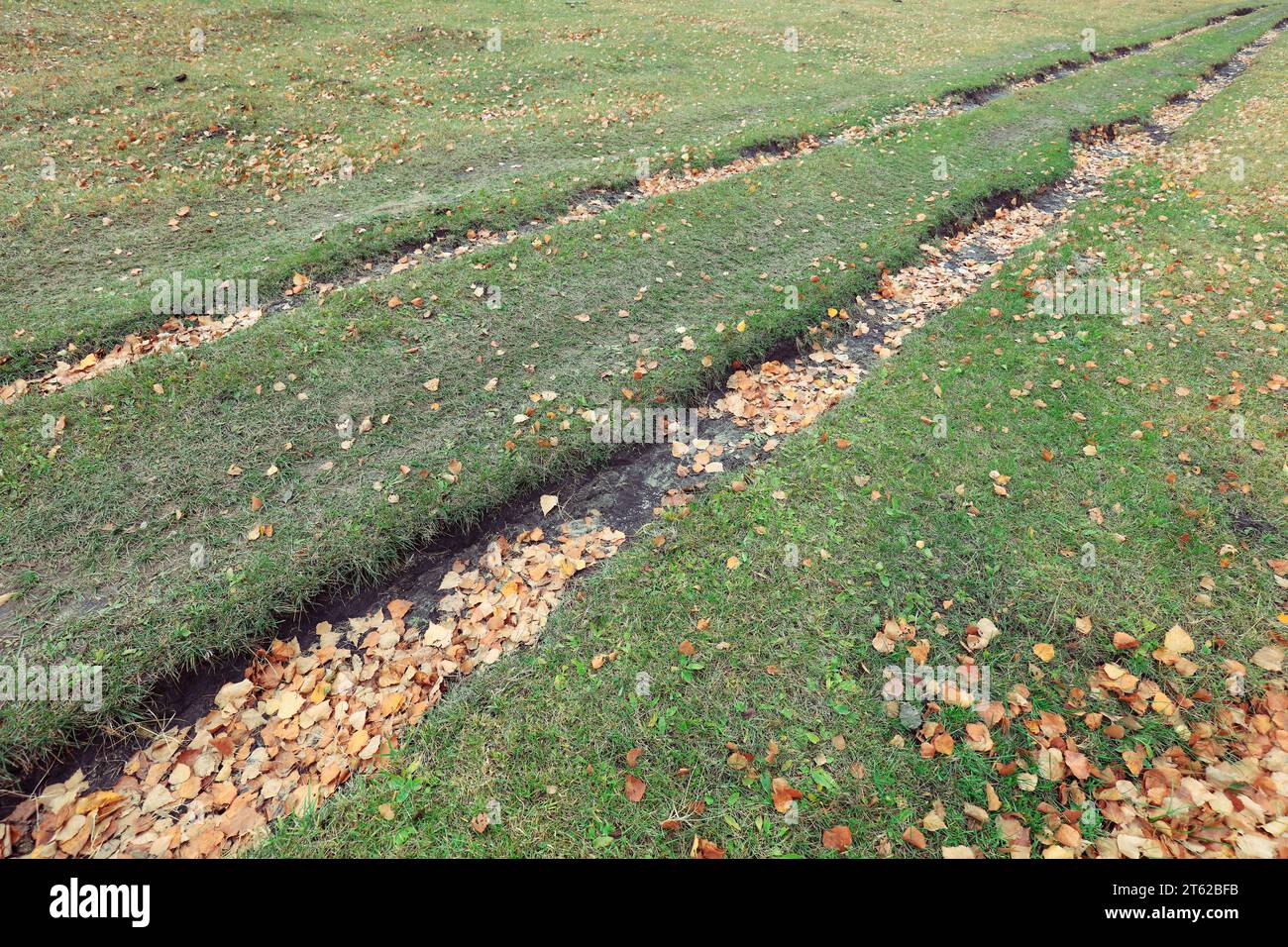 road marks in the grass Stock Photo - Alamy