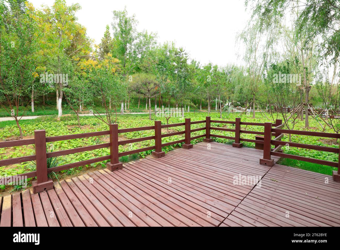 Park wooden platform Stock Photo - Alamy