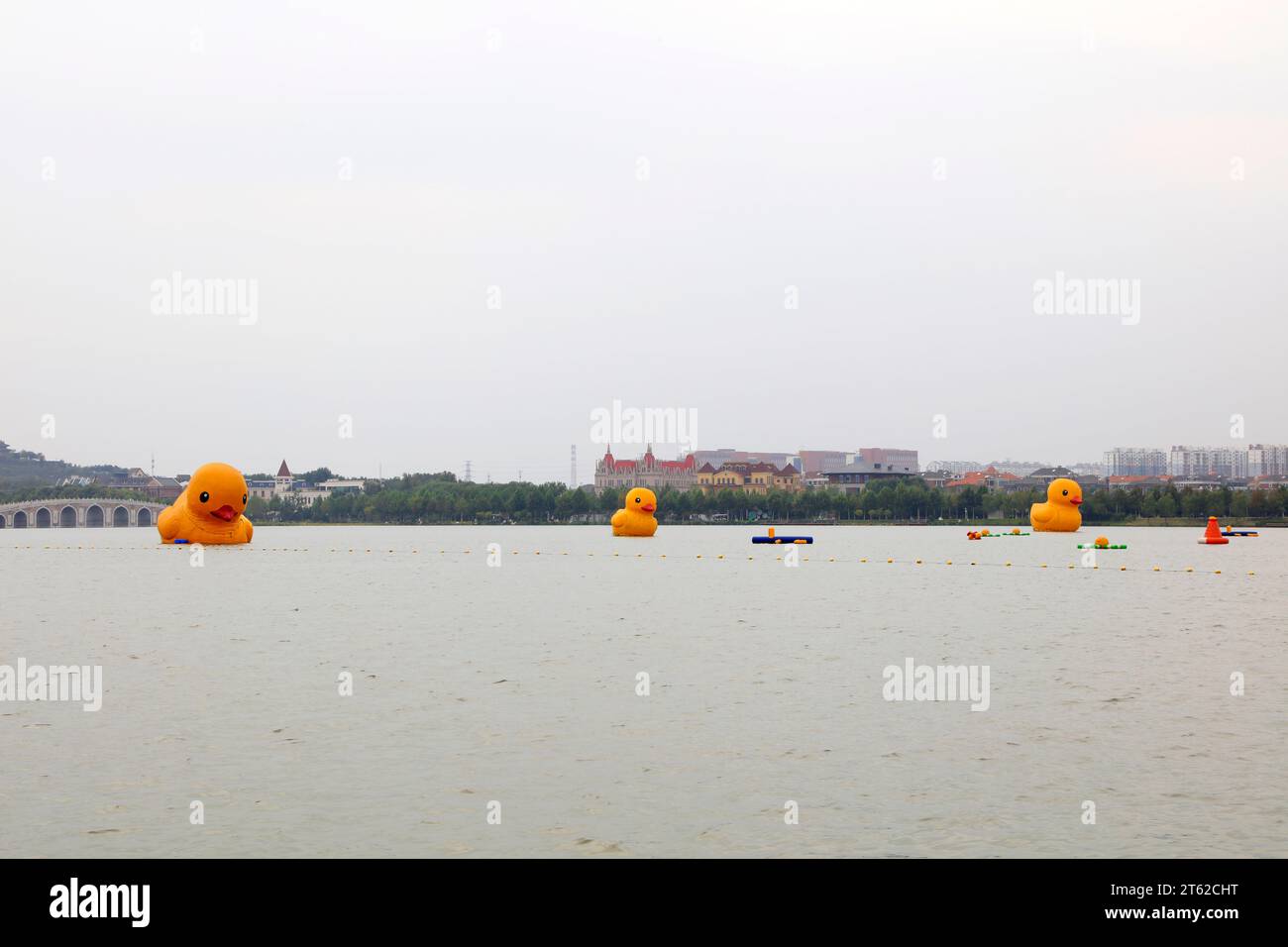 Giant rubber duck in the central lake, Tangshan, China Stock Photo - Alamy