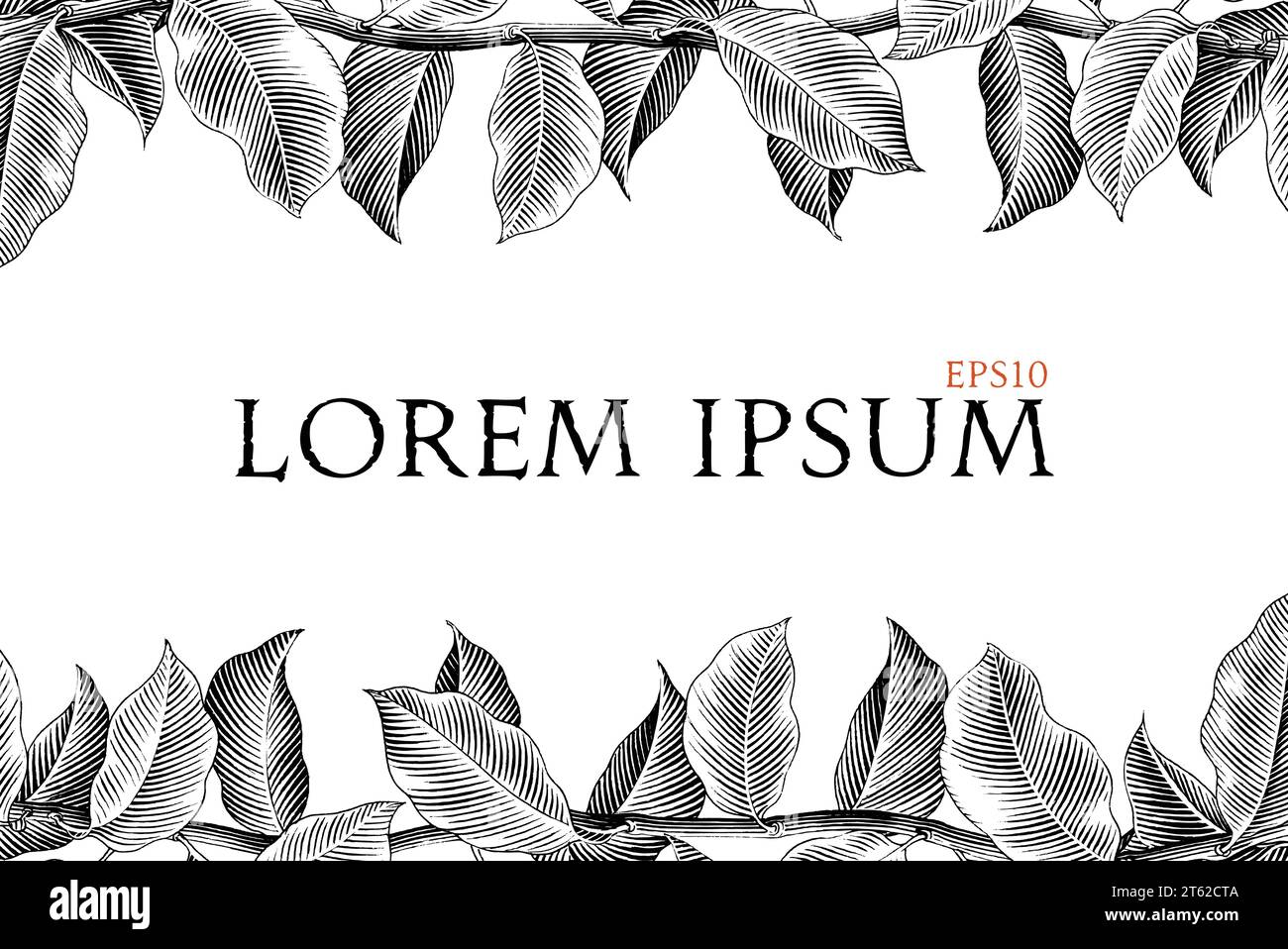 foliage branches frame hand drawing vintage style black and white clip art Stock Vector Image ...