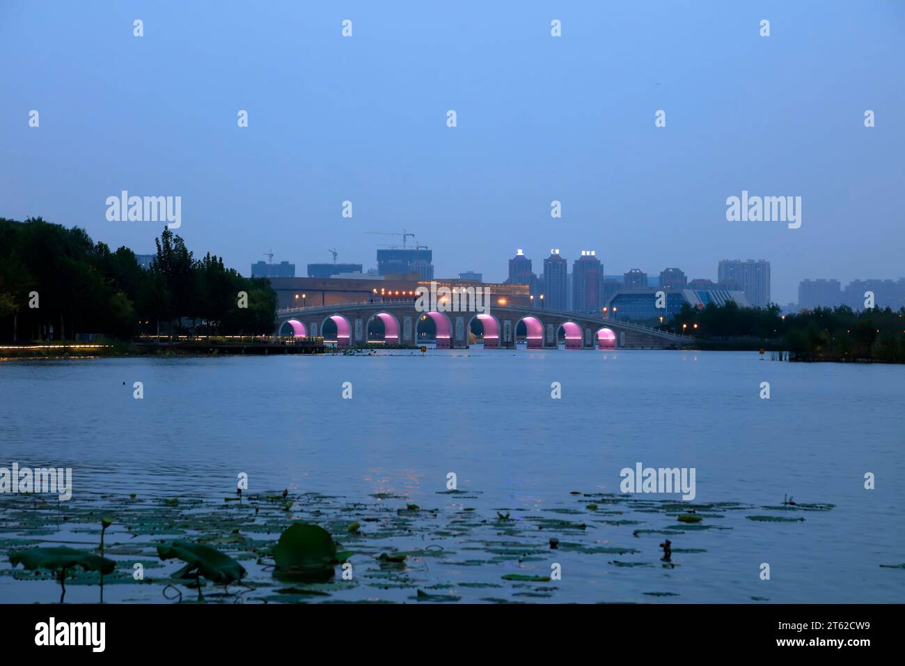 City park night view hi-res stock photography and images - Alamy
