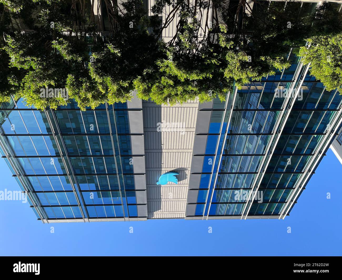 San Francisco, United States. 07th Nov, 2023. X Corp (formerly Twitter ...