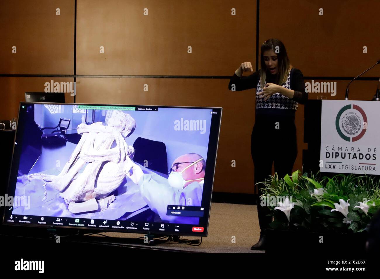 Mexico City, Mexico. 7th Nov, 2023. Images of non-human bodies ...