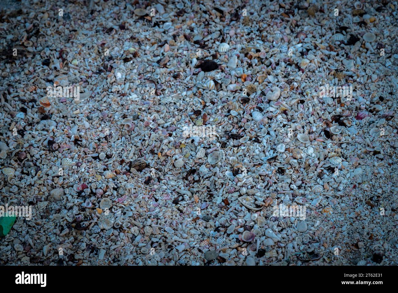Sharjah beach hi-res stock photography and images - Alamy