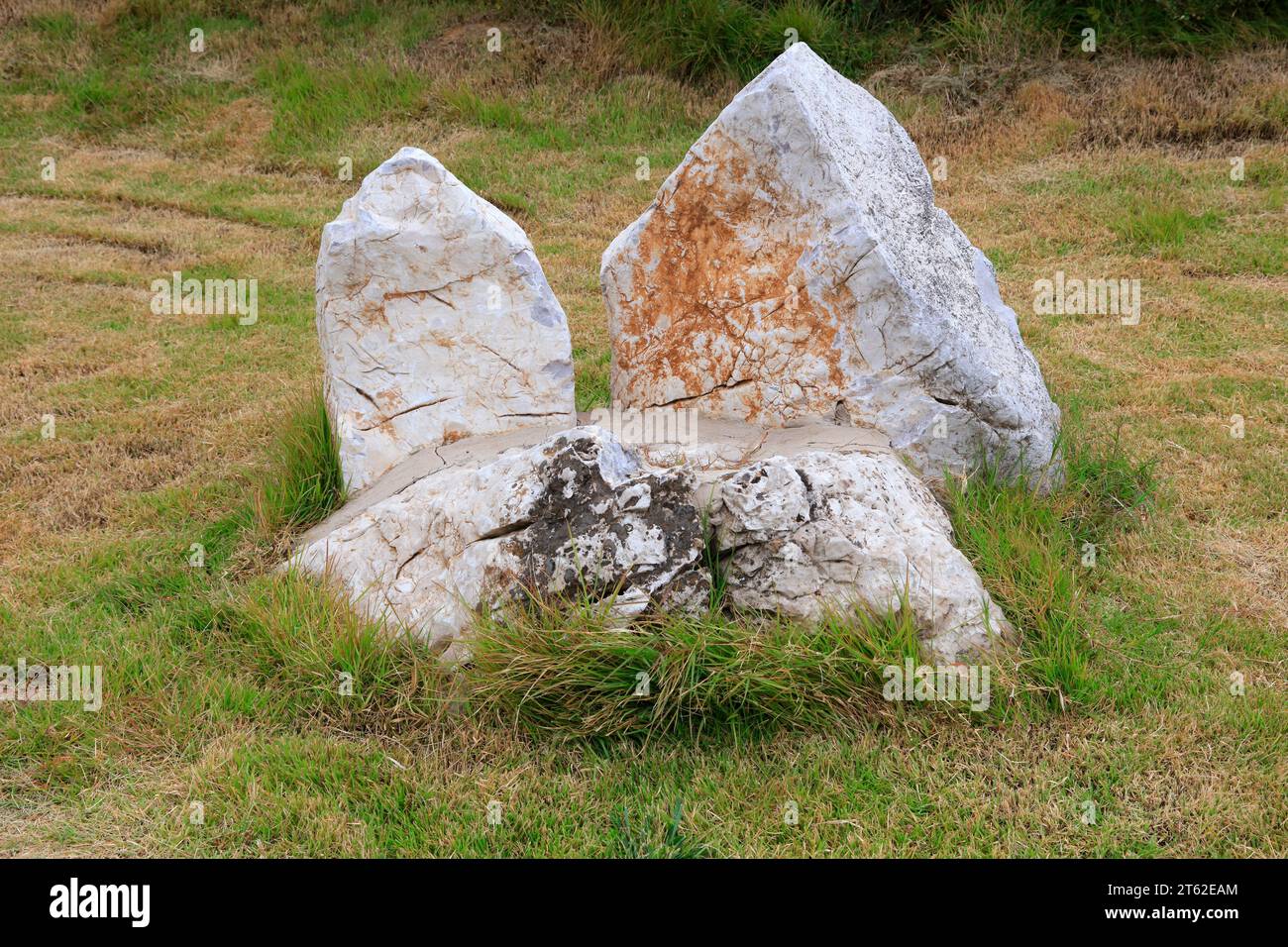 Rock in the lawn Stock Photo - Alamy