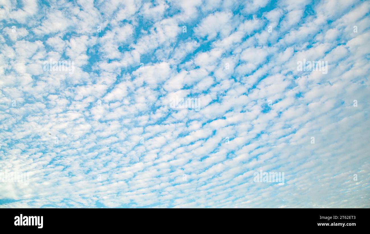 Summer blue sky cloud light gradient white background Stock Photo - Alamy
