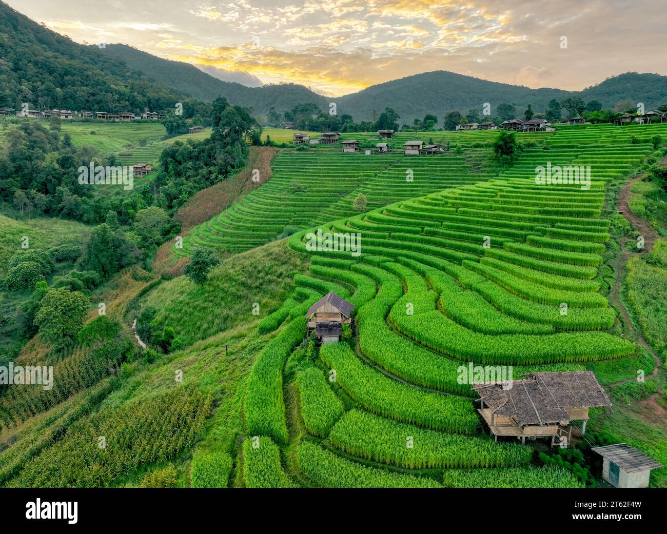 Landscape of green rice terraces amidst mountain agriculture. Travel ...