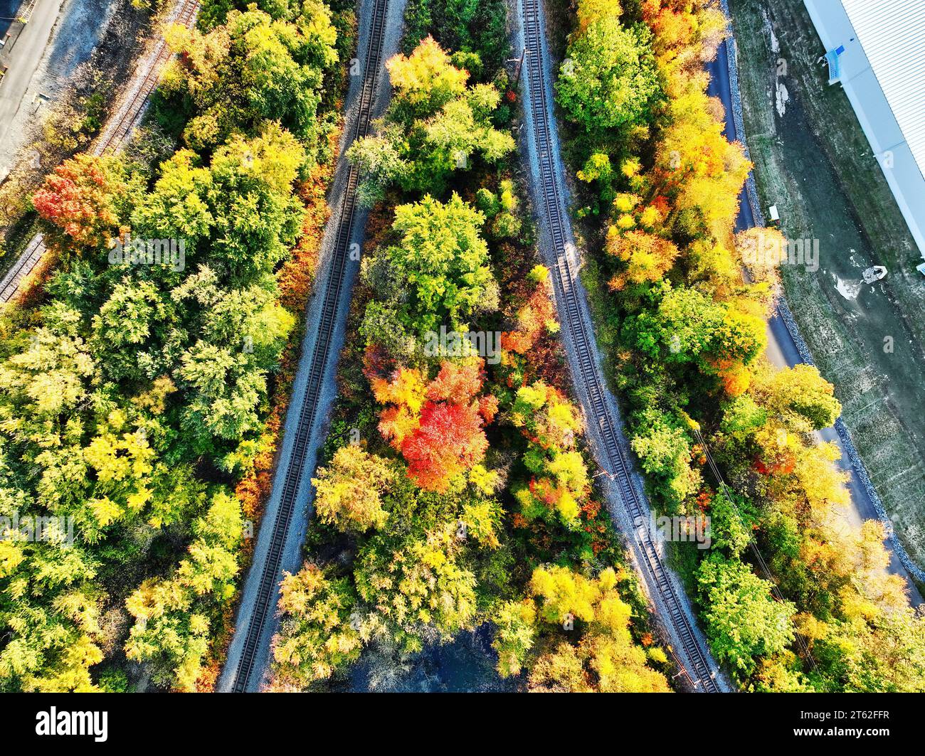 Railroad tracks with trees hi-res stock photography and images - Alamy