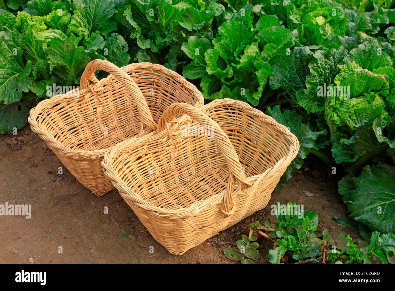 Hand woven products Stock Photo - Alamy