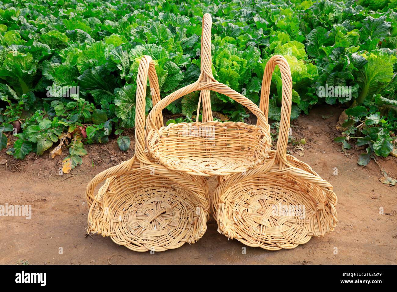 Hand woven products hi-res stock photography and images - Alamy