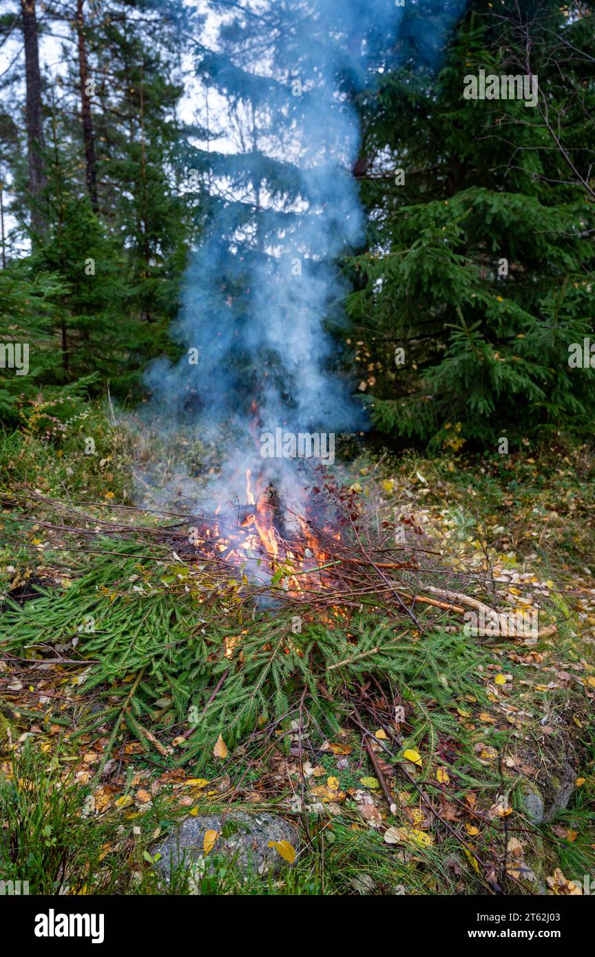 Burning twigs from trees in garden November 4 2023 Stock Photo - Alamy