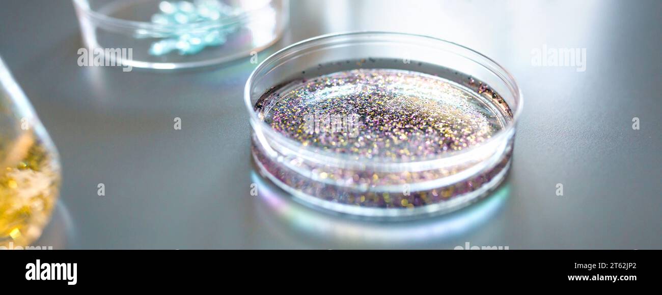 Petri dish with colorful glitter mixed sample in analysis fluid in ...