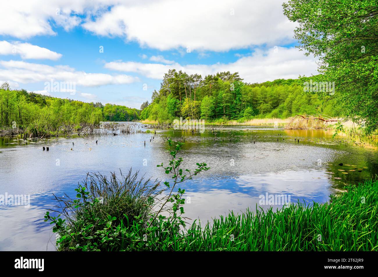 Small Neuendorfer lake Jezioro Zatorek in Poland. Inland lake on the ...