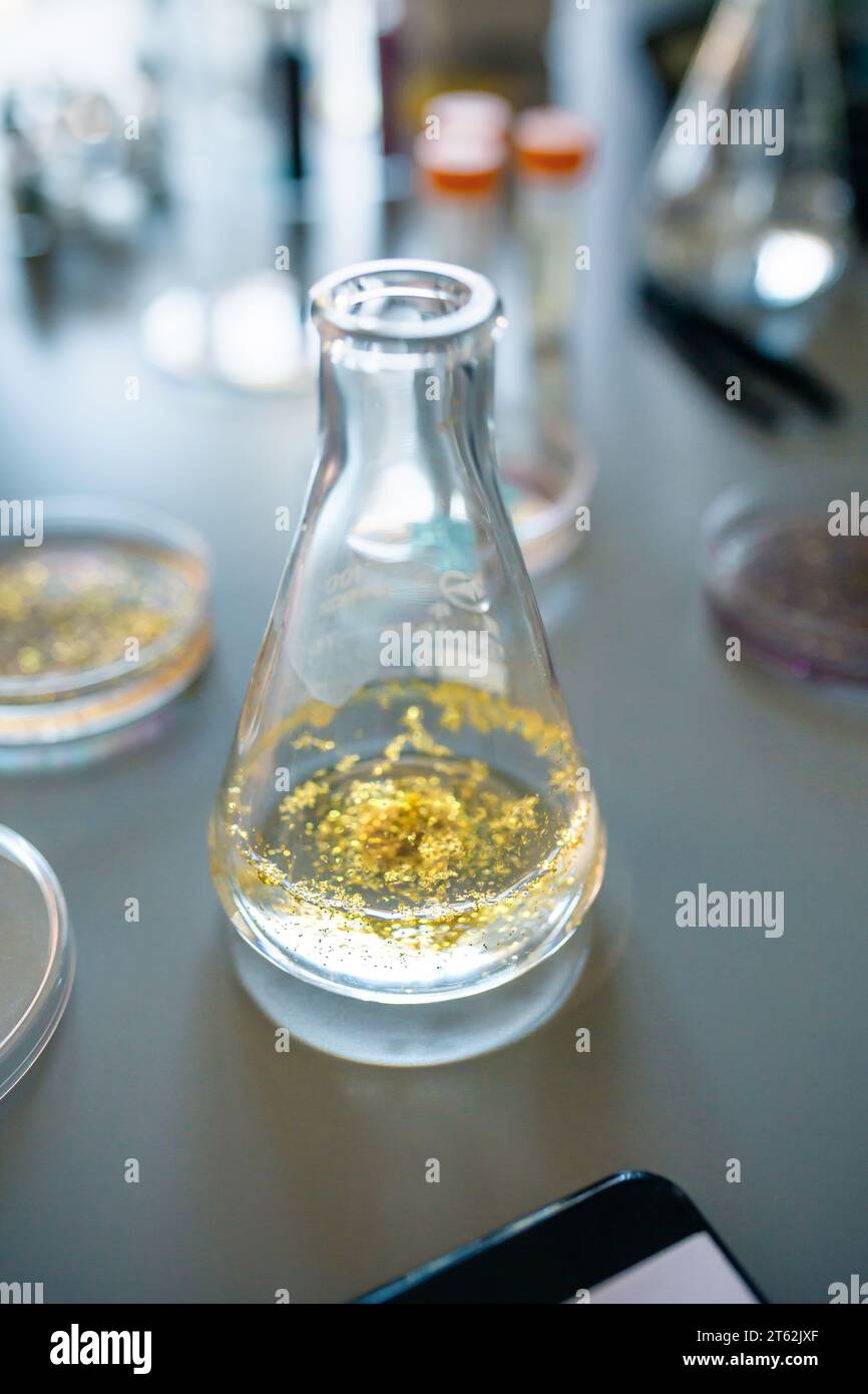 Empty erlenmeyer flask hi-res stock photography and images - Alamy
