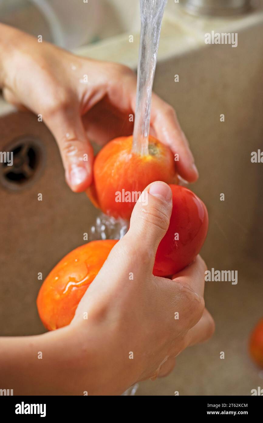 Washing tomatoes in running water hi-res stock photography and images ...