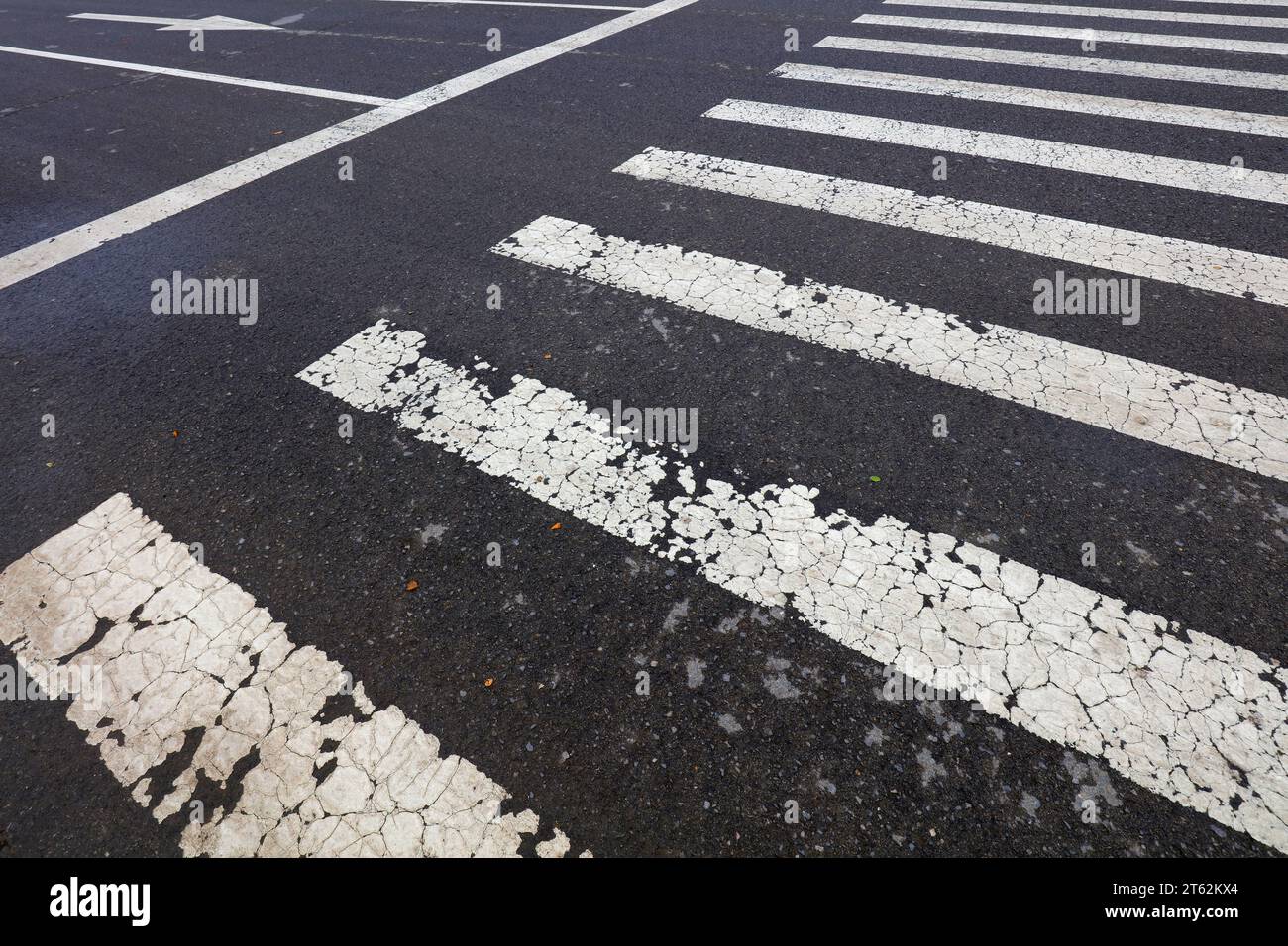 Mottled zebra line Stock Photo - Alamy