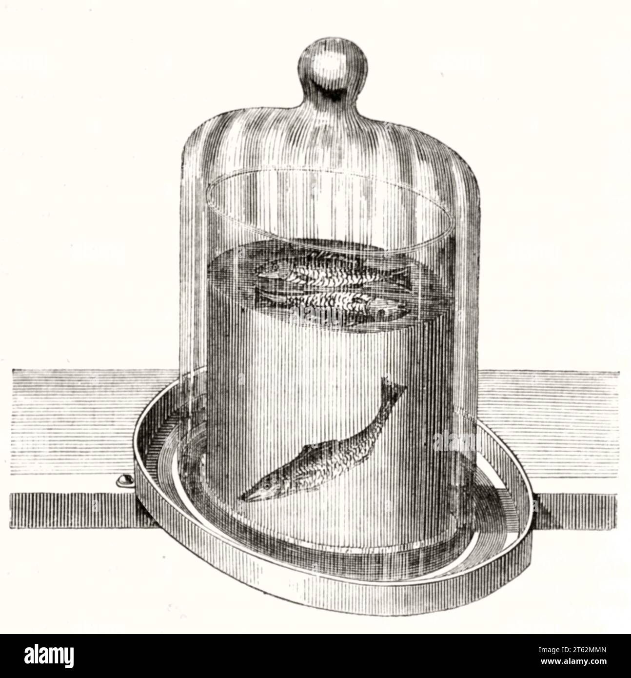 Old illustration of Cartesian devil experiment. By unidentified author ...