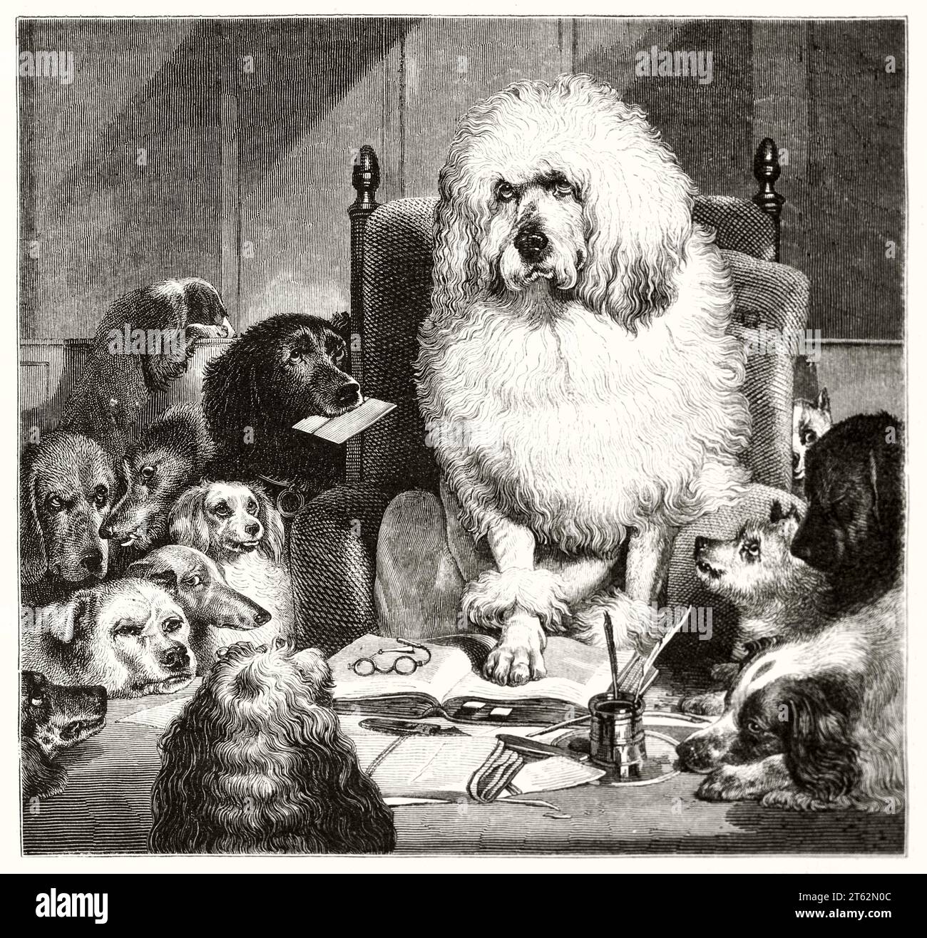 Old humorous illustration depicting dogs conducting legal trial. By ...