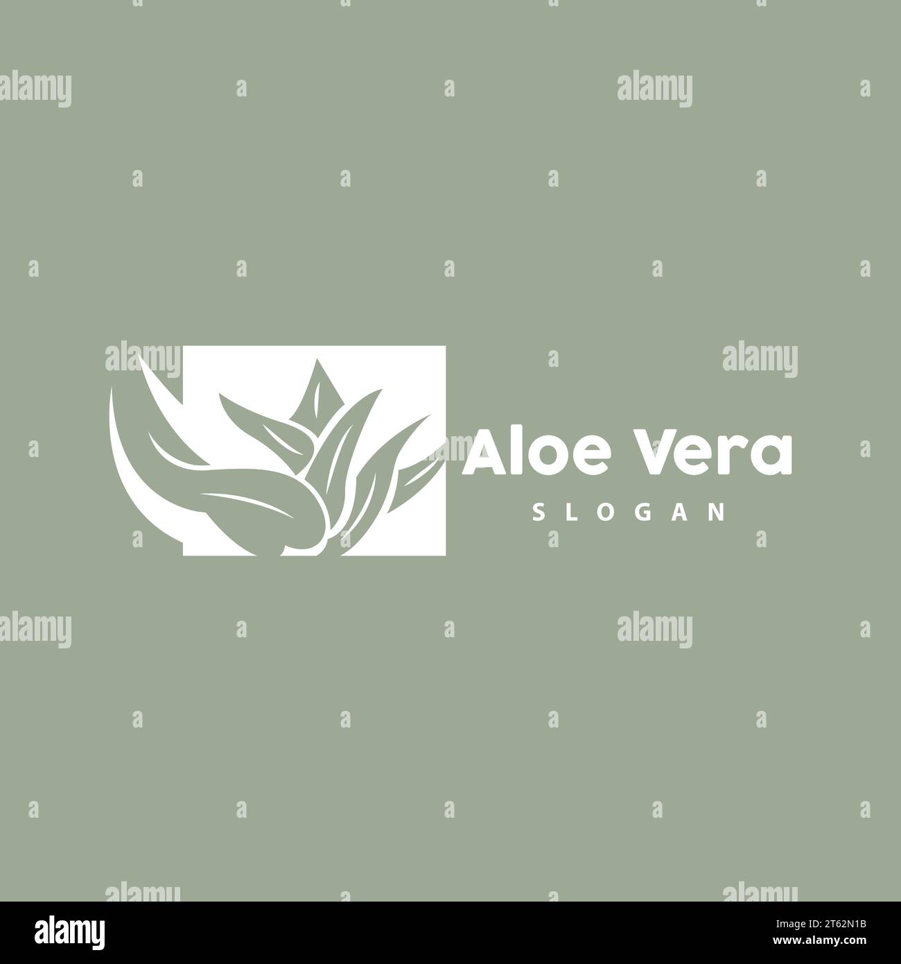 Aloe Vera Logo, Herbal Plant Vector, Illustration Symbol Icon Simple ...