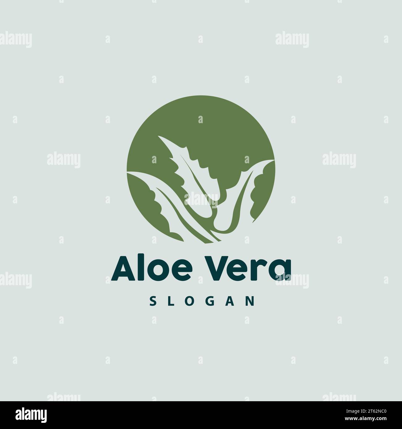 Aloe Vera Logo, Herbal Plant Vector, Illustration Symbol Icon Simple ...