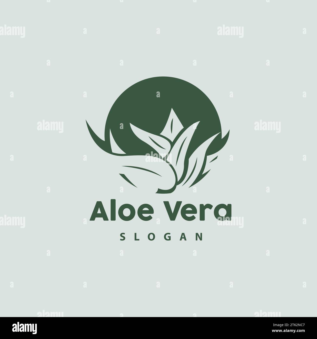 Aloe Vera Logo, Herbal Plant Vector, Illustration Symbol Icon Simple ...
