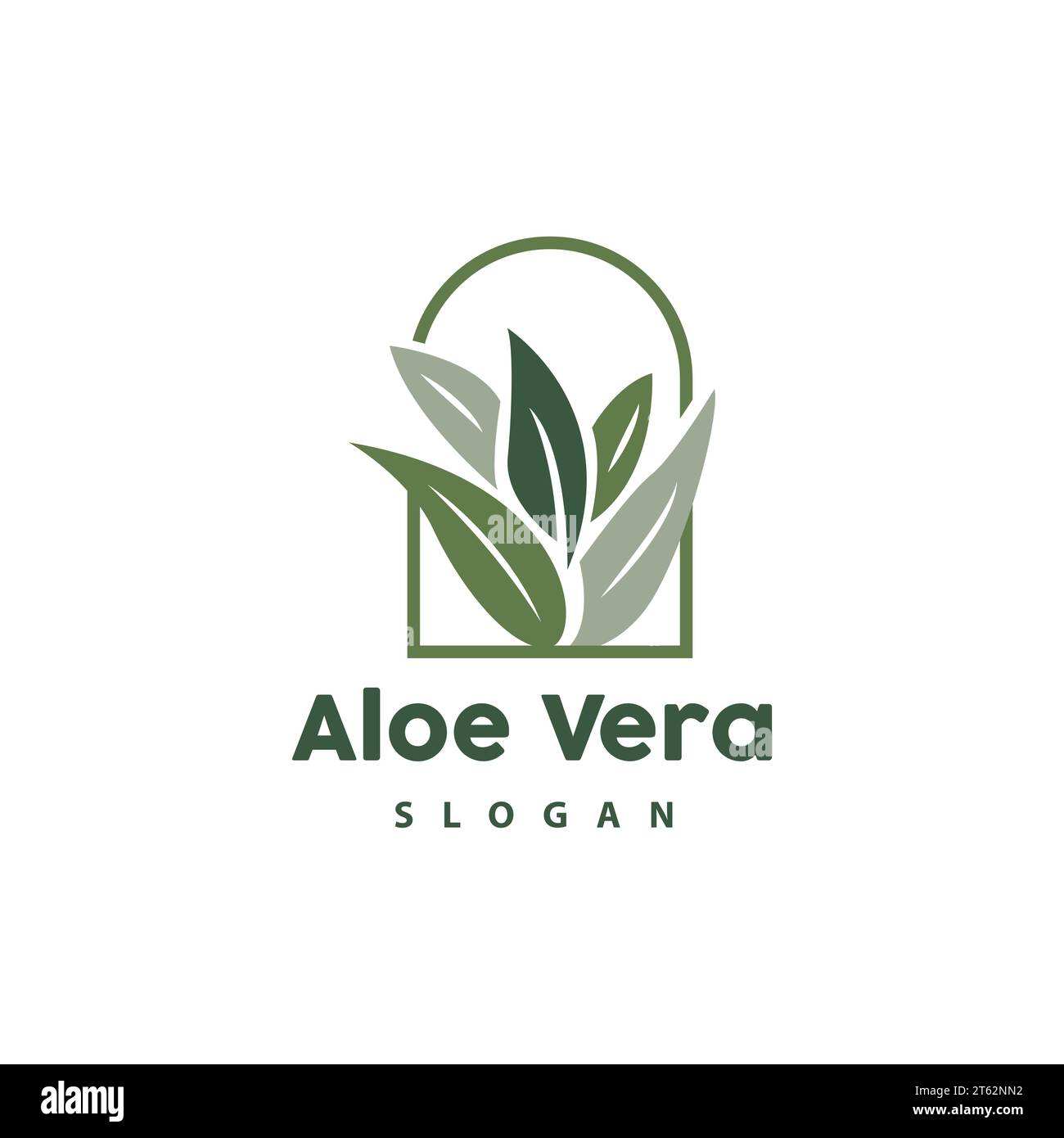 Aloe Vera Logo, Herbal Plant Vector, Illustration Symbol Icon Simple ...