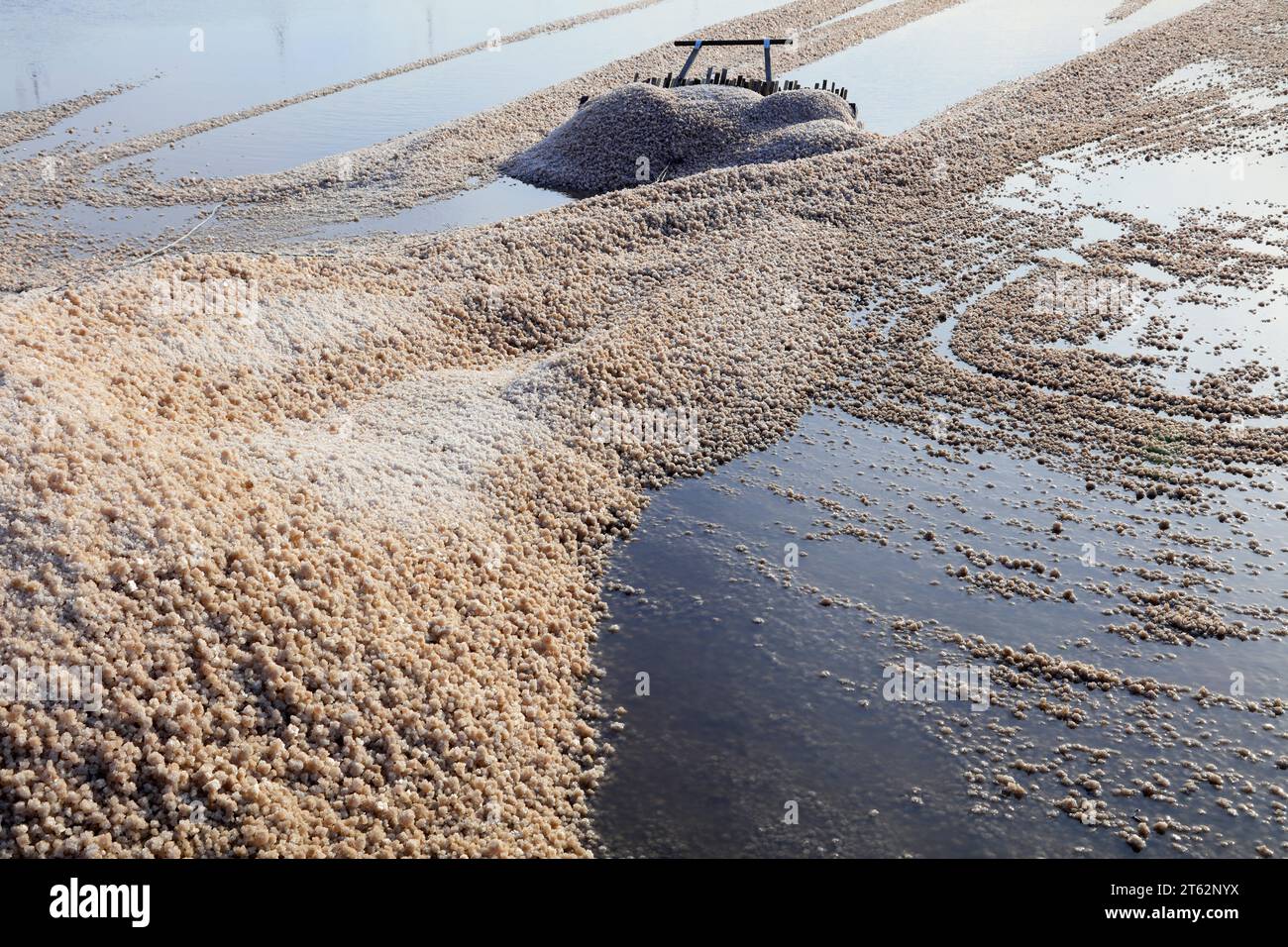 Salt water drying process hi-res stock photography and images - Alamy